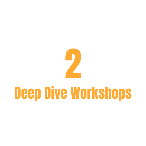 Novel Nasal Formulation & Delivery Summit